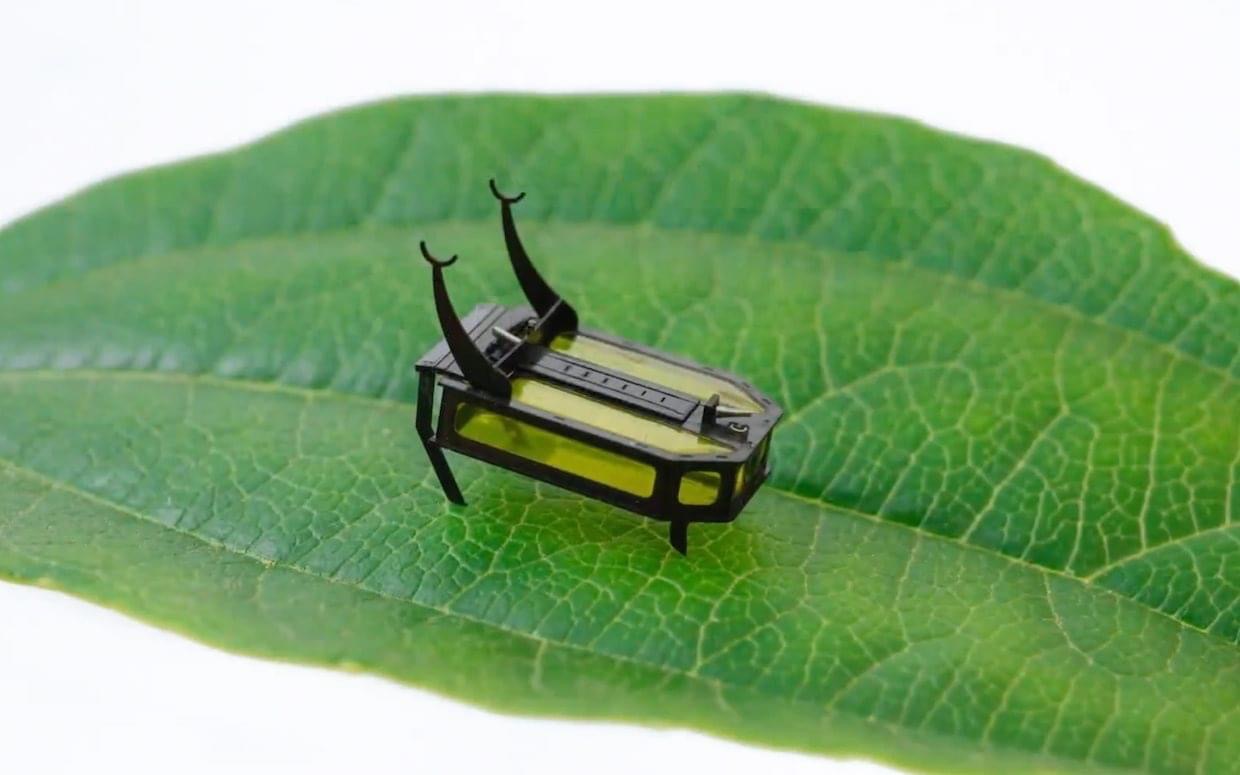 This tiny robotic beetle travels for two hours without a battery • The ...